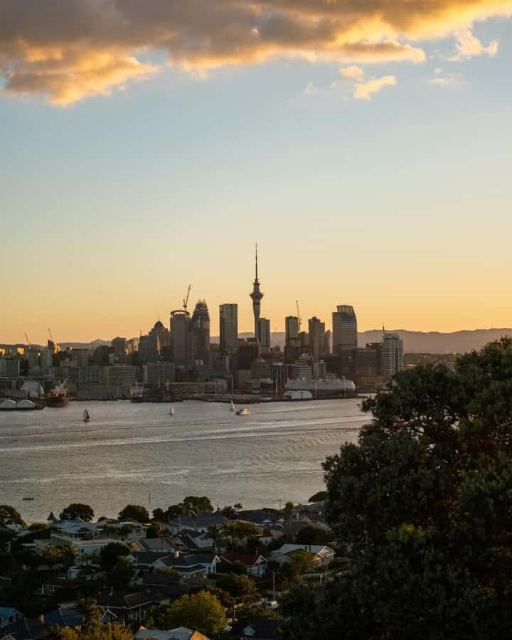 Shore Excursion from Auckland - Private Tour & Wine Tasting - A Deep Dive into What You Can Expect