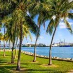 Shore Excursion from Port of Miami: City and Cruise Tour - Detailed Breakdown of the Itinerary