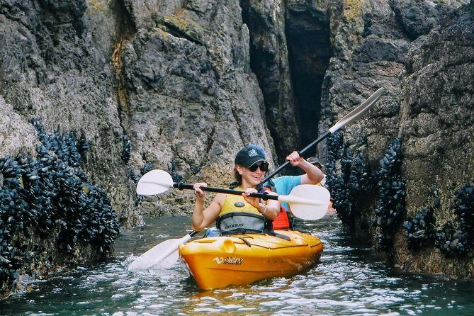 Shore Excursion Guided Sea Kayaking through Akaroa Marine Reserve - Frequently Asked Questions