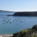 Shore Excursion: Half Day Small Group Auckland Scenic Tour - 4 HOURS - In-Depth Look at the Auckland Small Group Scenic Tour