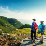 Shore Excursion of The Skyline Trail in Cape Breton - Why This Tour Could Be a Great Fit
