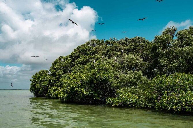 Sian Ka'an Reserve Tour - Who Should Consider This Tour?