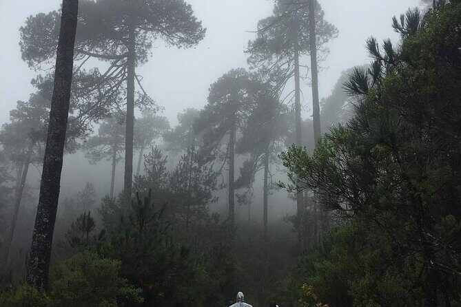 Sierra Norte 1 Day Guided Hiking - What to Expect on Your Sierra Norte Guided Hike