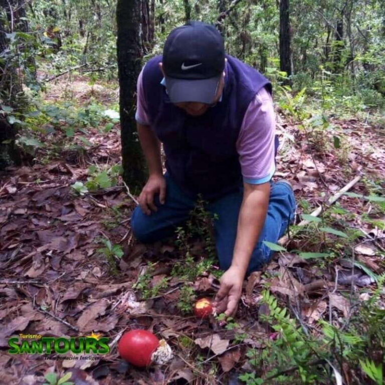 Sierra Norte: Eco Adventure Tour - Practical Details