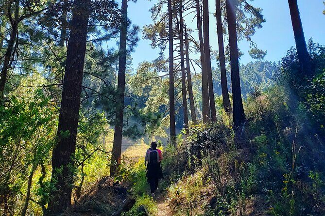 Sierra Norte Hike and Indigenous Village Full-Day Adventure - An In-Depth Look at the Sierra Norte Hike and Indigenous Village Tour
