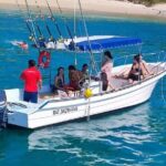 Sighting DE Marine Mammals and Snorkeling - What Do Previous Participants Say?