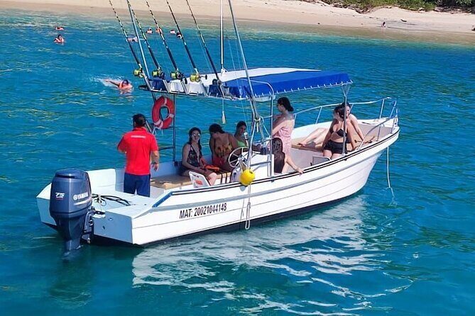 Sighting DE Marine Mammals and Snorkeling - What Do Previous Participants Say?