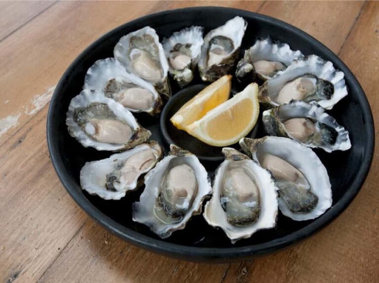 Signature Bruny Island Tour - Hobart & SE Tasmania - Practical Details and Pricing