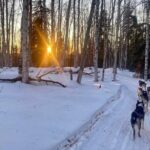 Signature Ridge Top Mush - What to Expect During the Tour