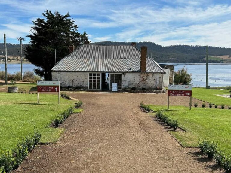 Signature Wine Tour - Hobart & SE Tasmania - The Vineyards: A Closer Look