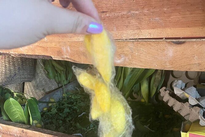 Silkworm and Maguey in the Sierra Norte - Final Thoughts