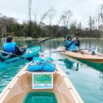 Silver Springs: Glass Bottom Kayak and Wildlife Tour - The Experience: In-Depth Look