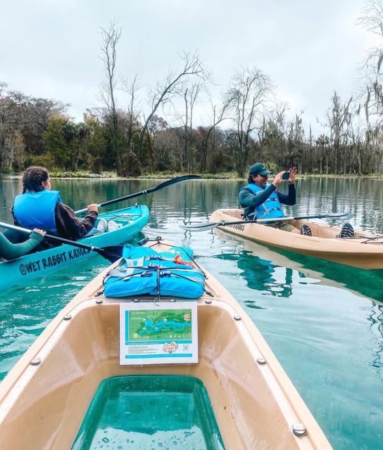 Silver Springs: Glass Bottom Kayak and Wildlife Tour - The Experience: In-Depth Look