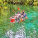 Silver Springs Jungle Kayaking and Paddleboarding - What’s Included and What to Keep in Mind