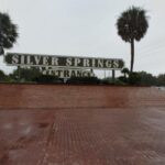 Silver Springs Manatee Kayaking Tour - The Sum Up