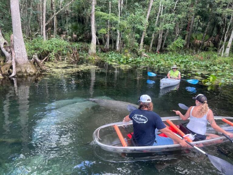 Silver Springs: Manatees, Monkeys, and Natural Spring Tour - Why This Experience Is Worth It