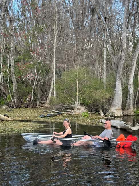Silver Springs: Silver River Guided Kayak Tour - Who Is This Tour Best For?