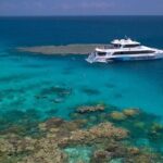 Silversonic Outer Great Barrier Reef Cruise from Port Douglas - Pricing & Value