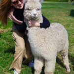 Silverstream Alpaca Farm Tour with Feeding and Guide - The Practicalities: What You Need to Know