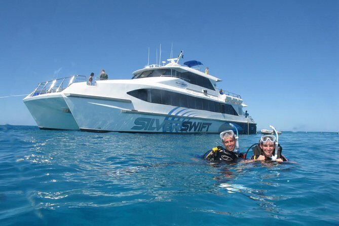 Silverswift Dive and Snorkel Great Barrier Reef Cruise - What Makes Silverswift Stand Out?