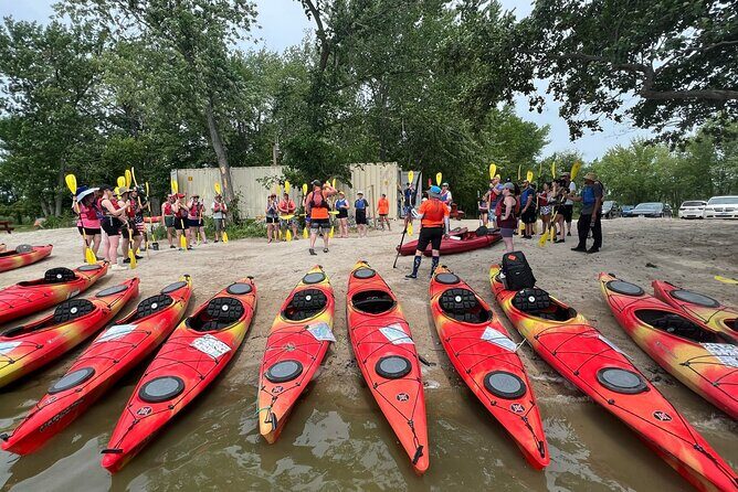 Single Guided Kayaking Tour near Chicago - Pricing & Value