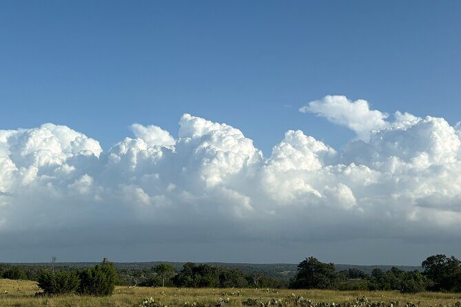 Sip Like a Local Private Wine Tours by Native Experts - An In-Depth Look at the Tour Experience