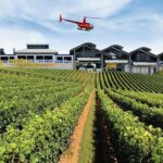 Sirromet Winery + CBD & Mt Coot-tha Private Helicopter Experience - What Travelers Love About This Experience