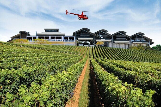 Sirromet Winery + CBD & Mt Coot-tha Private Helicopter Experience - What Travelers Love About This Experience