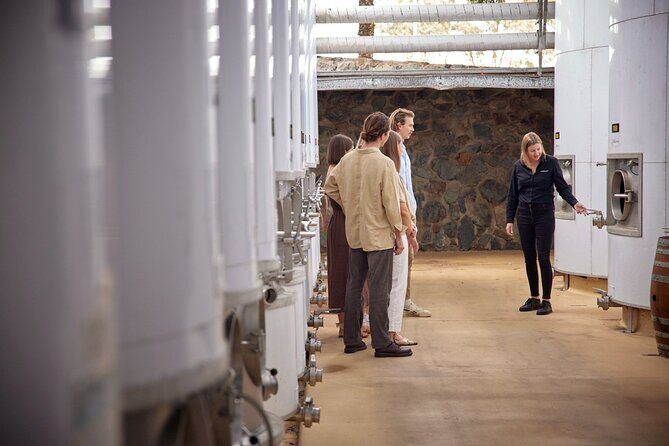 Sirromet Winery Tour and Taste and 2 Course Lunch - Authentic Insights from Reviewers