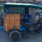 Sisal Mangrove and Beach Kayak Tour From Merida - An In-Depth Look at the Sisal Mangrove and Beach Kayak Tour