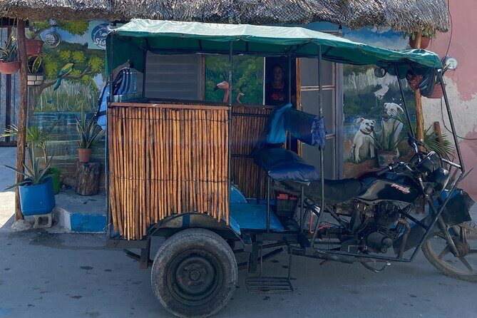 Sisal Mangrove and Beach Kayak Tour From Merida - An In-Depth Look at the Sisal Mangrove and Beach Kayak Tour