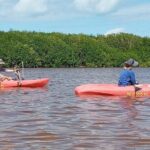 Sisal Mangroves & Beach Expedition from Merida - Who Will Benefit Most From This Tour?