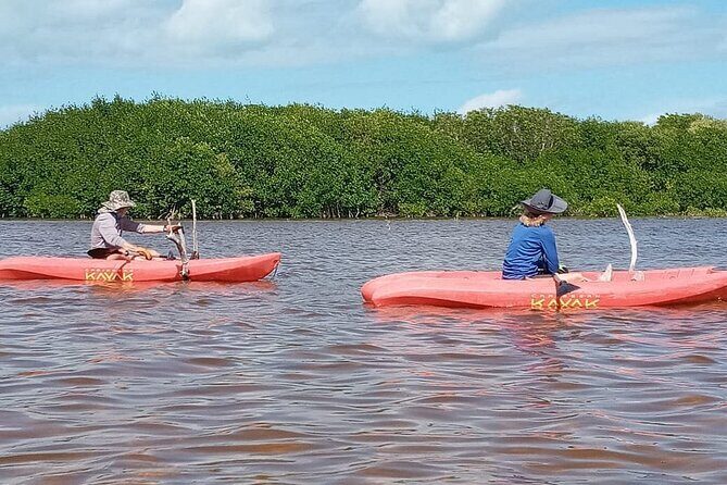 Sisal Mangroves & Beach Expedition from Merida - Who Will Benefit Most From This Tour?