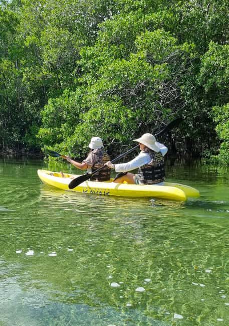 Sisal Yucatán: Snorkeling in a jungle spring and mangrove exploration - Introduction to the Experience