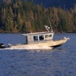 Sitka: Premiere Whale Watching and Wildlife Tour - An In-Depth Review of the Sitka Wildlife Tour