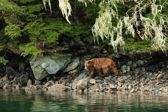 Sitka Whale Watch and Sea Otter Quest - The Sum Up