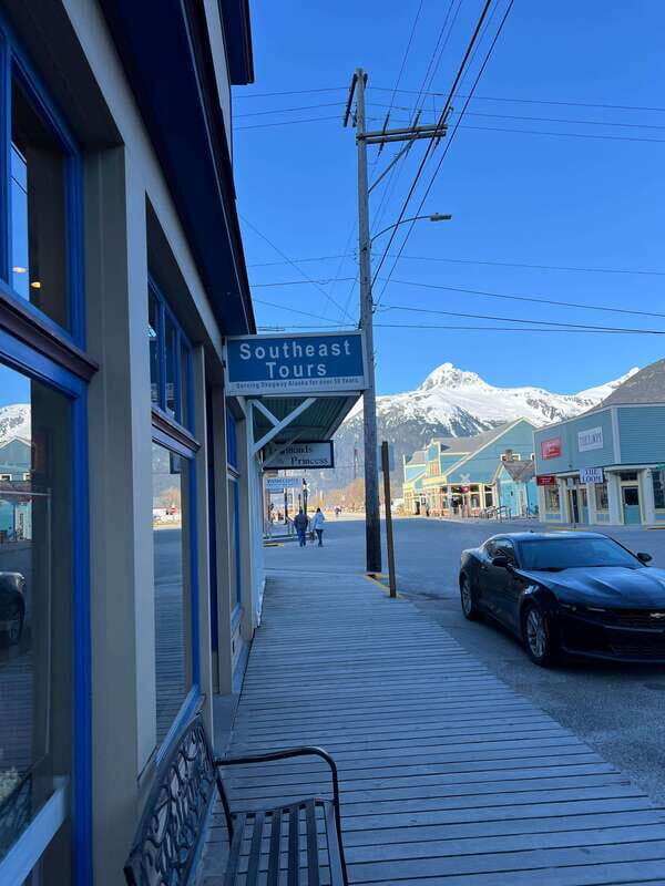 Skagway: Yukon Suspension Bridge & Summit Tour - Why This Tour Is a Great Choice