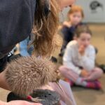 Skip the Line: Franz Josef Wildlife Center Ticket with Optional Backstage Pass - Key Points