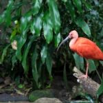 Skip-the-line Montreal Biodome Private Tour with Tickets - Who is This Tour Best Suited For?