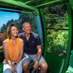 Skyrail Rainforest Cableway Day Trip from Cairns - Who Is This Tour Best For?