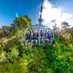 Skywire Adventure at Cable Bay, Nelson - Practical Tips for Your Visit