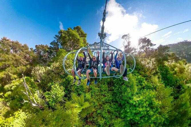 Skywire Adventure at Cable Bay, Nelson - Practical Tips for Your Visit