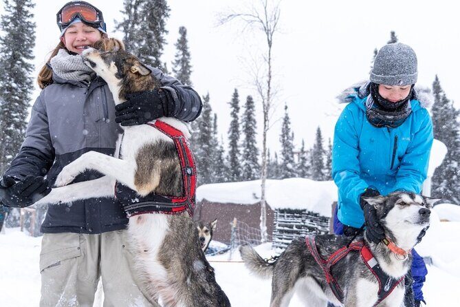 Sledding and Homesteading Adventure - What to Expect: A Quick Guide to the Experience