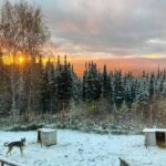 Sluice Box Kennel Experience - Analyzing the Value