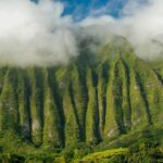 Small Group 3 Hour Honolulu Sunrise Tour with Malasadas - Who Is This Tour Best For?