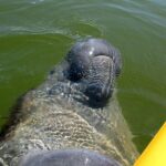 Small Group Boat, Kayak and Walking Guided Eco Tour Everglades - What to Expect from the Everglades Eco Tour