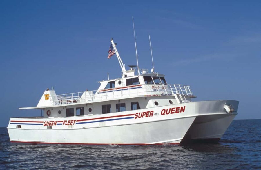 Small Group Clearwater Beach,Dolphin Watch Tour from Orlando - Itinerary Breakdown: What to Expect