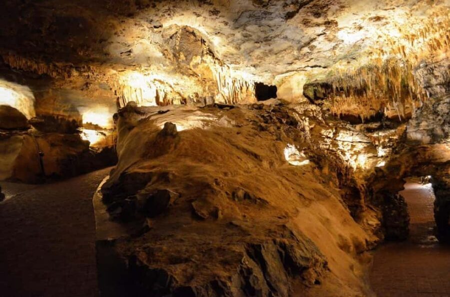 Small-Group D.C. Day Trip to Shenandoah Park & Luray Cavern - The Sum Up