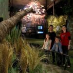 Small Group Daytime 2-Hour Eco Wildlife Tour at Zealandia - A Deep Dive into the Zealandia Experience