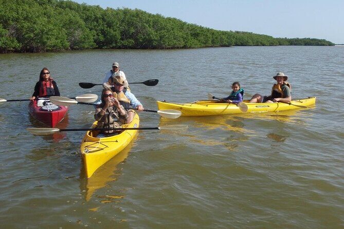 Small-Group Everglades Boating Kayaking and Walking Eco Tour - What to Expect During Your Tour